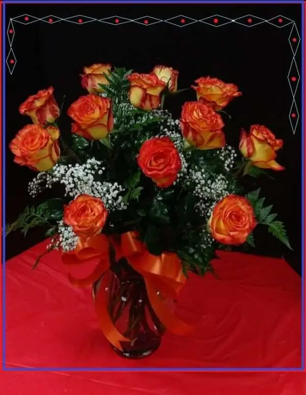 12 Long Stem High Magic Roses - Estrella's Flower Shop